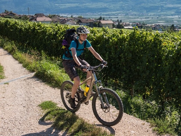 Experience Biking in Healdsburg: Trails, Tours and More