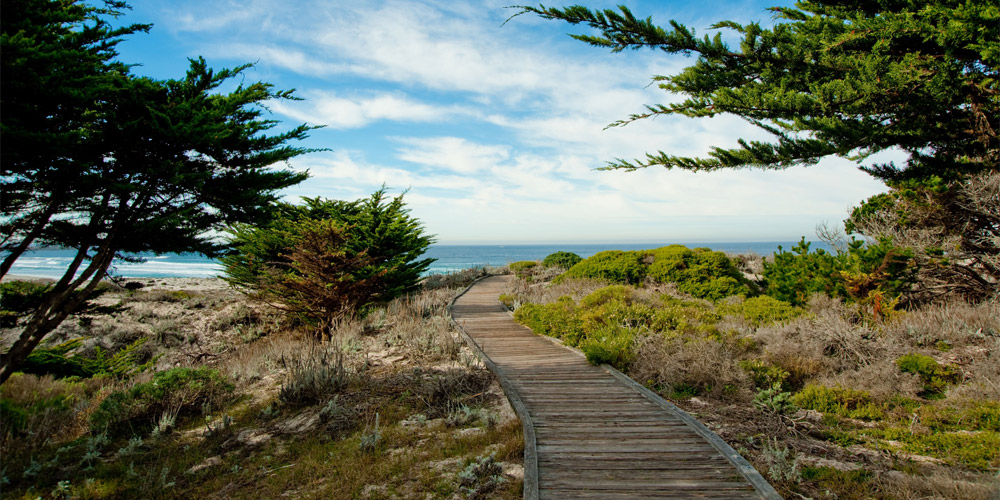 California State Park Guided Tours - Blogging by the Sea