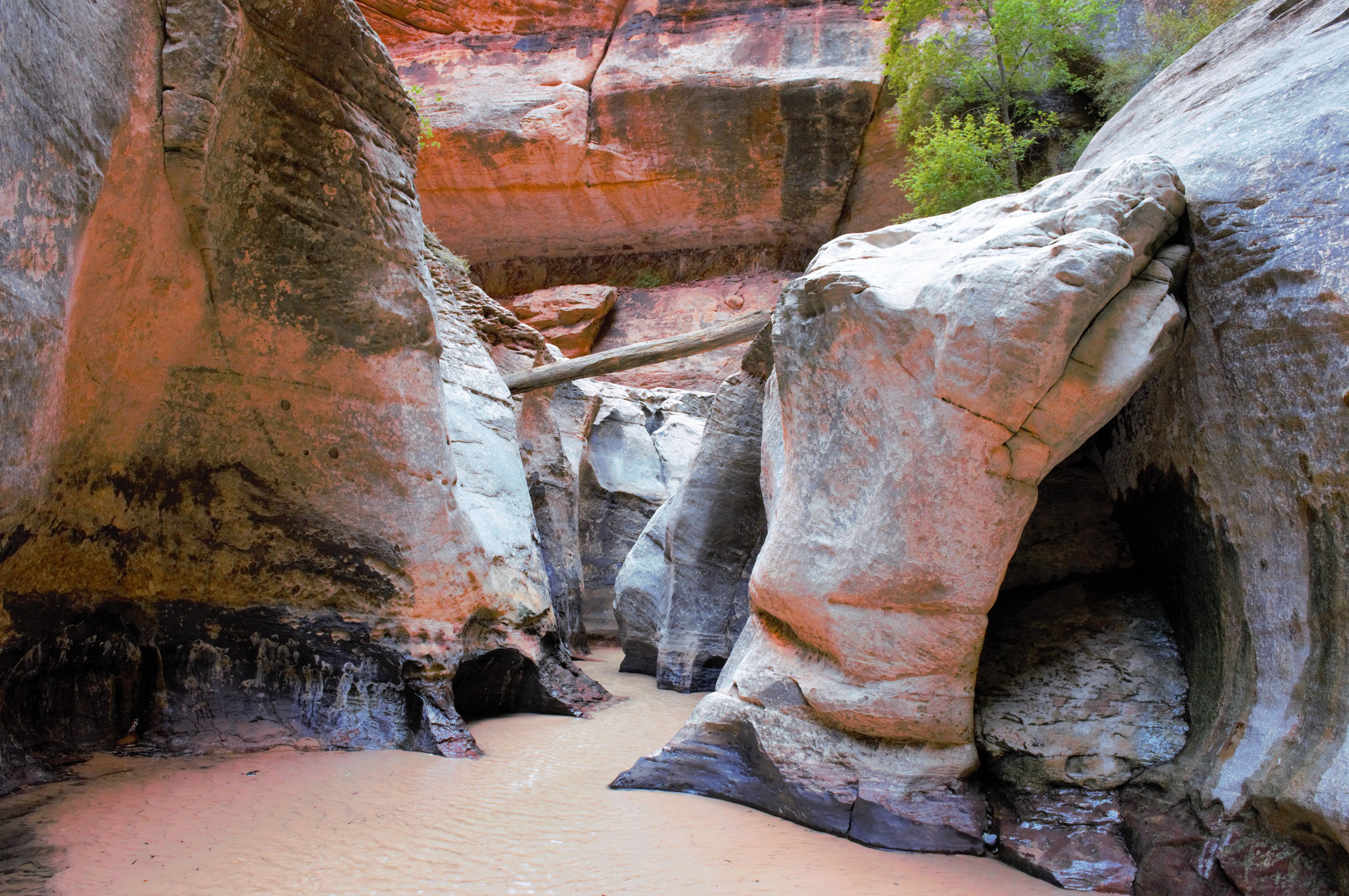 Black Hole Of White Canyon