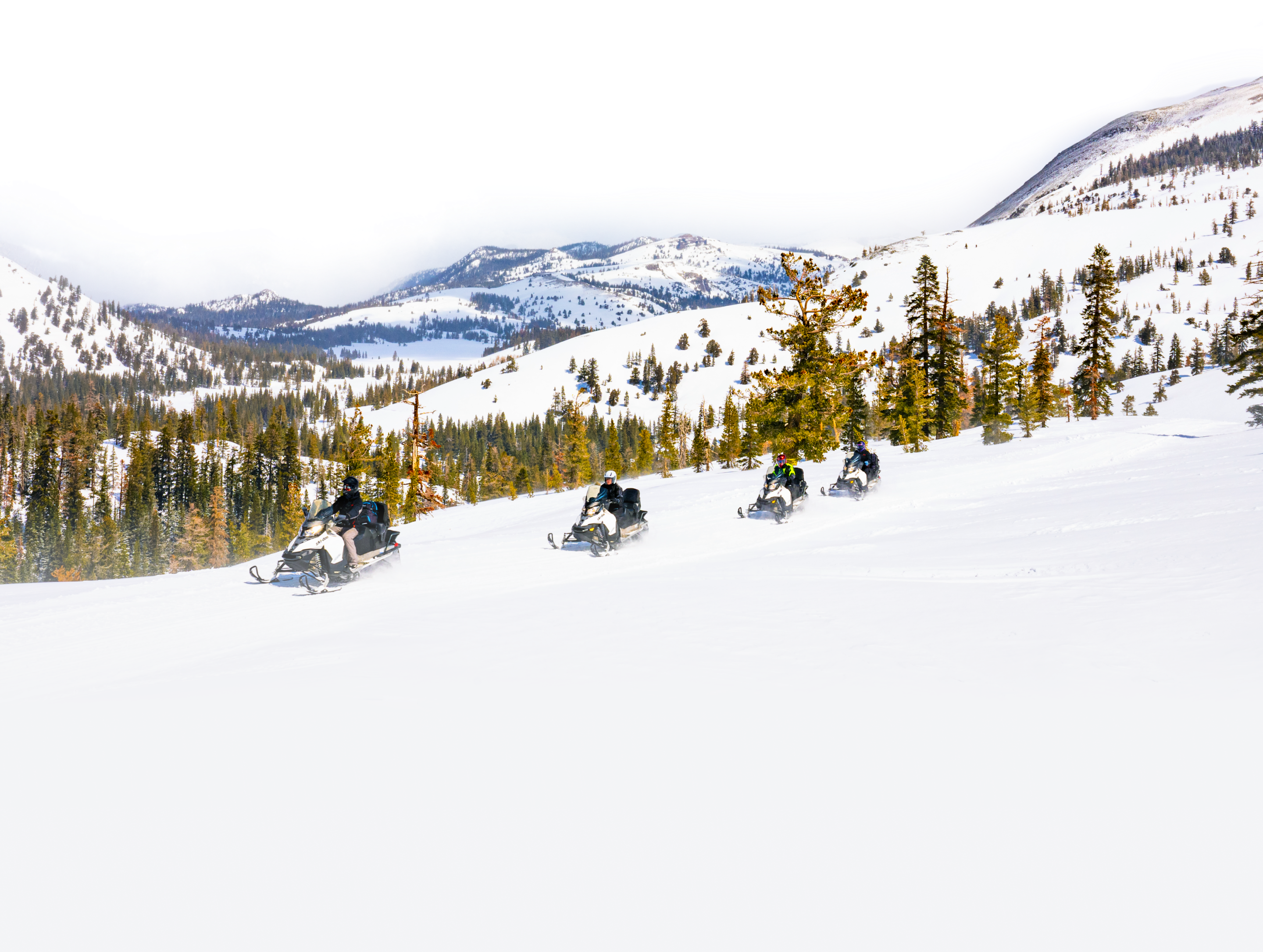 Lake Tahoe Adventures | Snowmobile & ATV Tours in CA