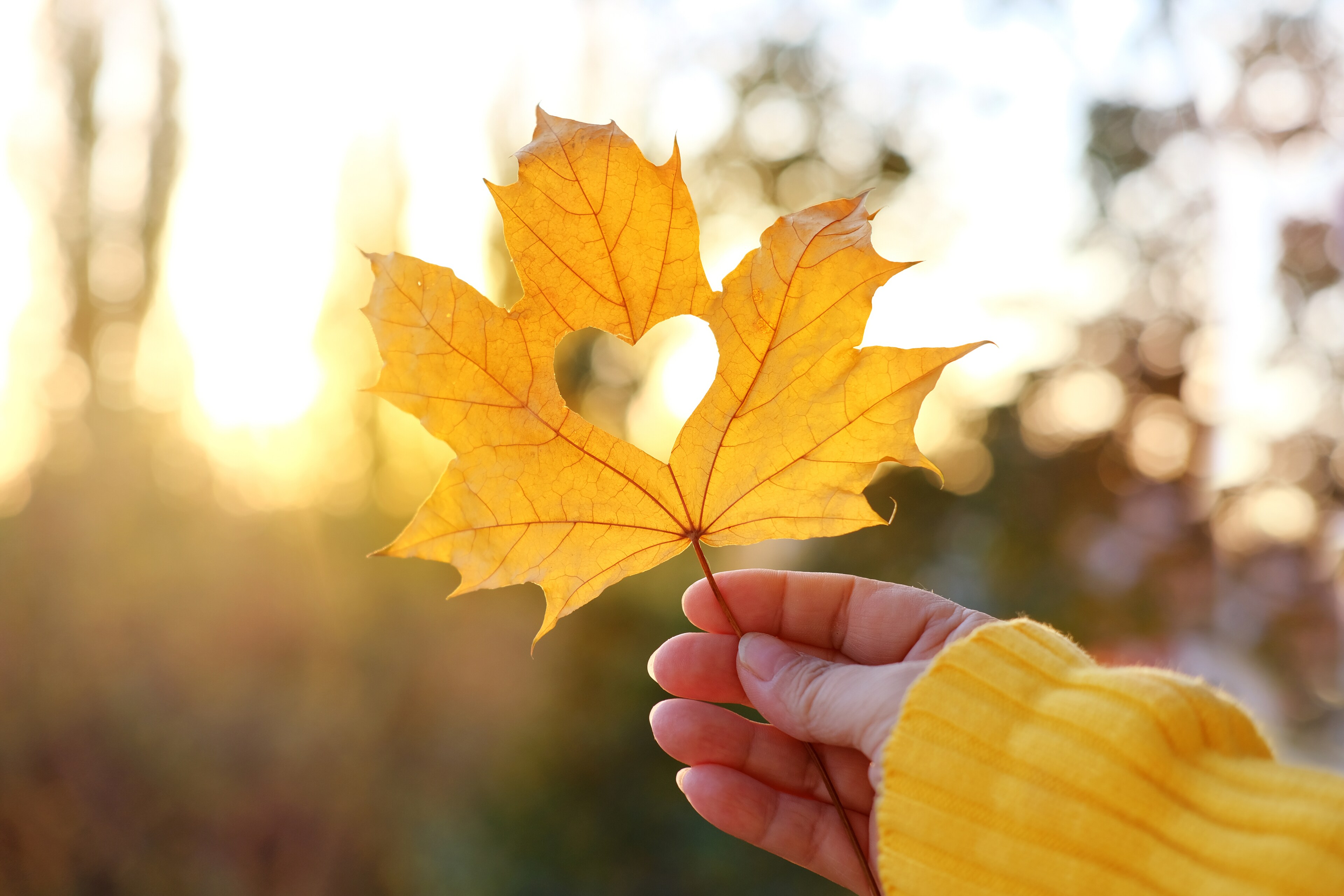 Rest and Reconnect Weekend for Couples: A Learning Retreat to Imagine ...