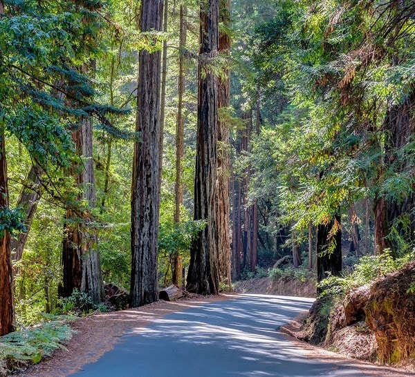Newest Retreat Destination in California - 1440 Multiversity