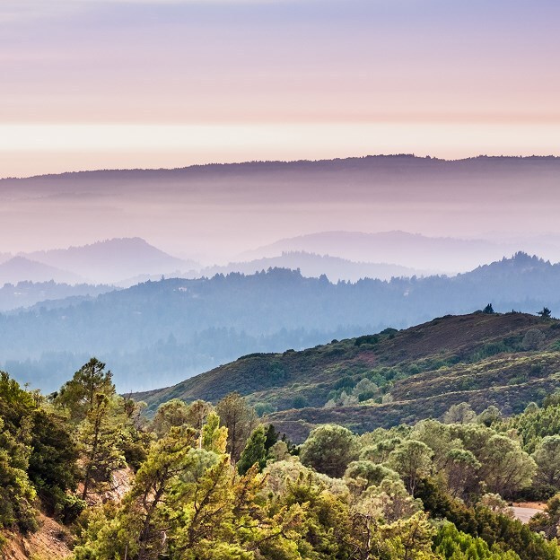 Holistic Learning in Santa Cruz, CA - 1440 Multiversity