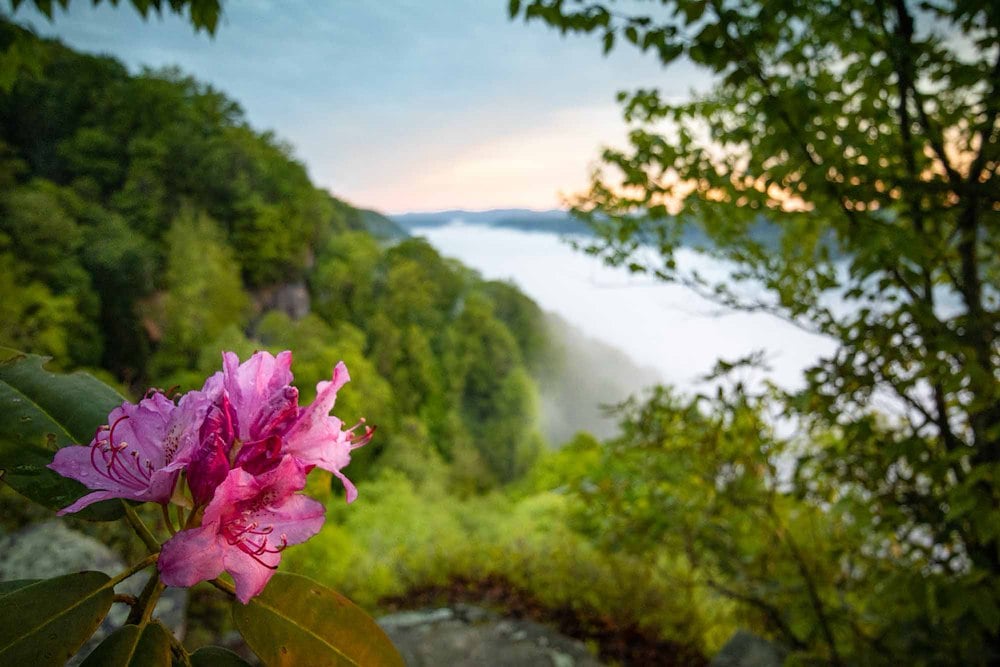 New River Gorge Tours | Adventures on the Gorge
