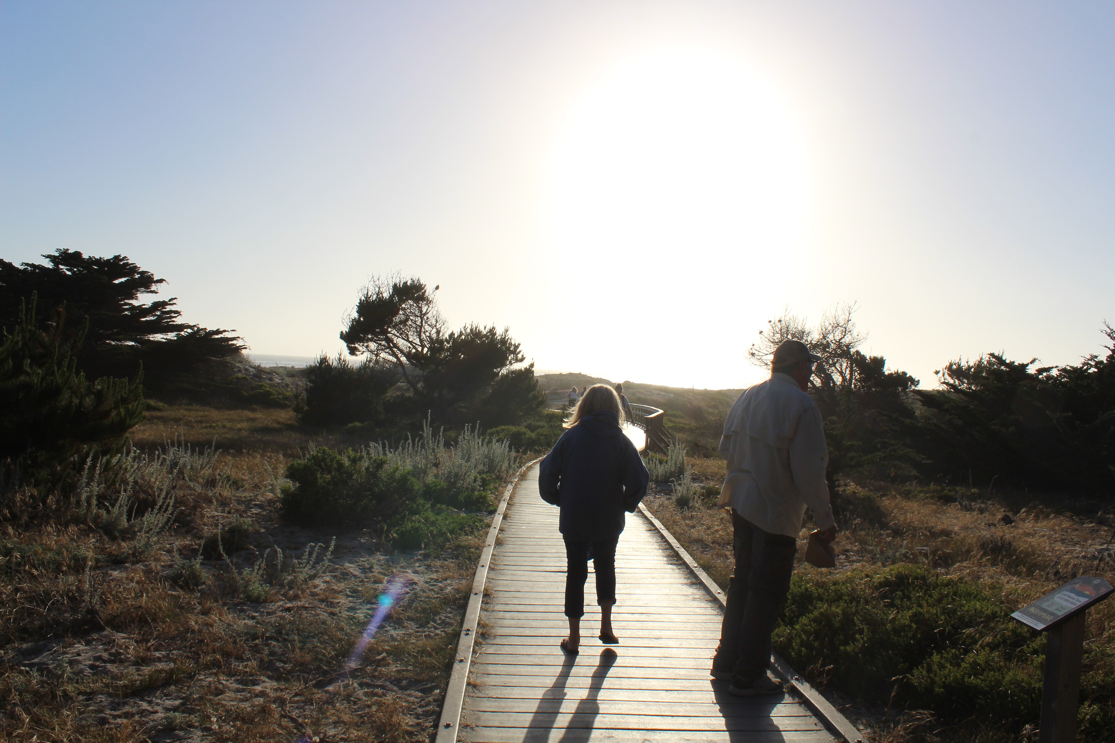 Pacific Grove Activities | Asilomar State Beach & Conference