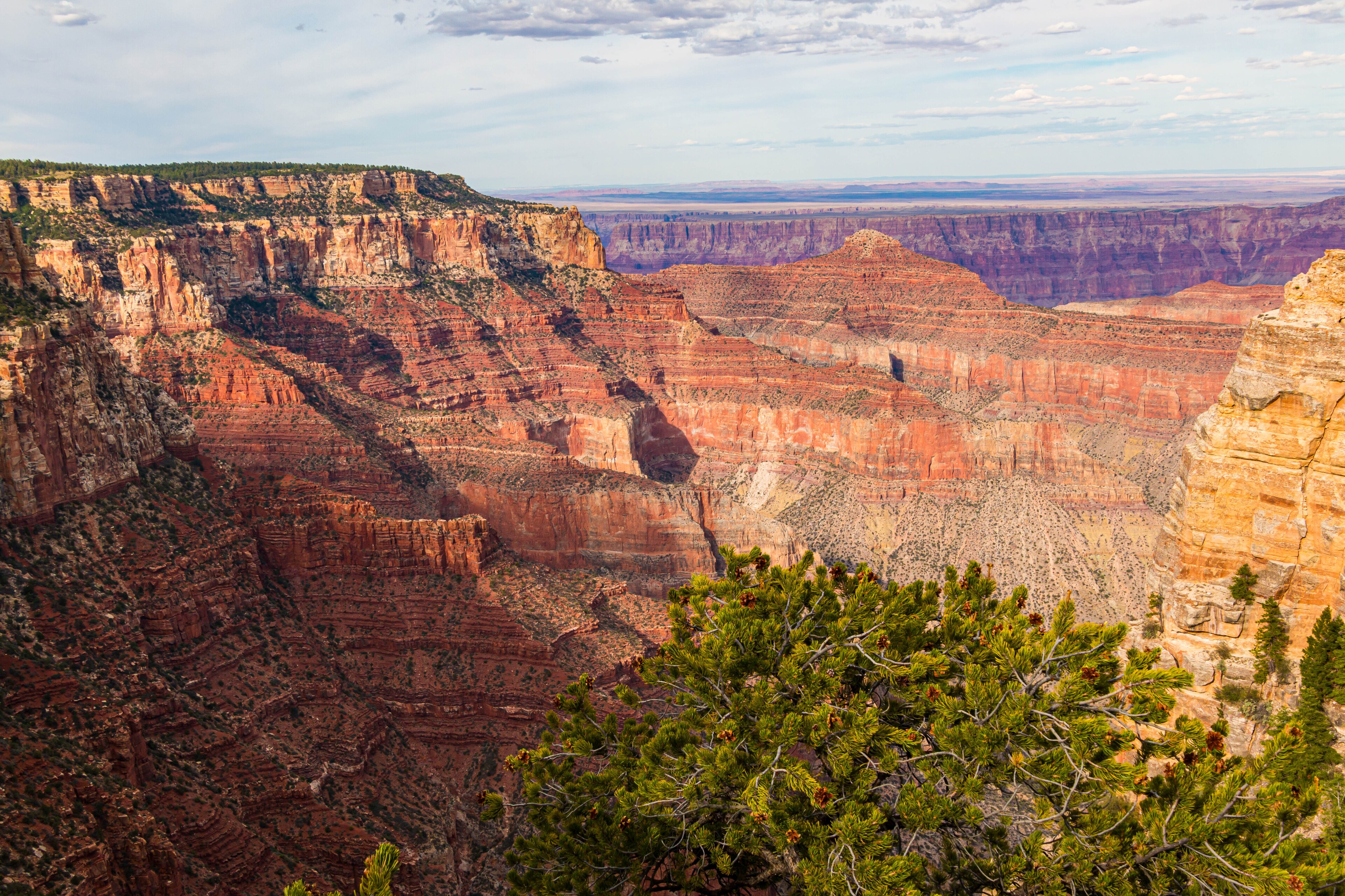 Grand Canyon North Rim Attractions | Grand Canyon Lodge North Rim