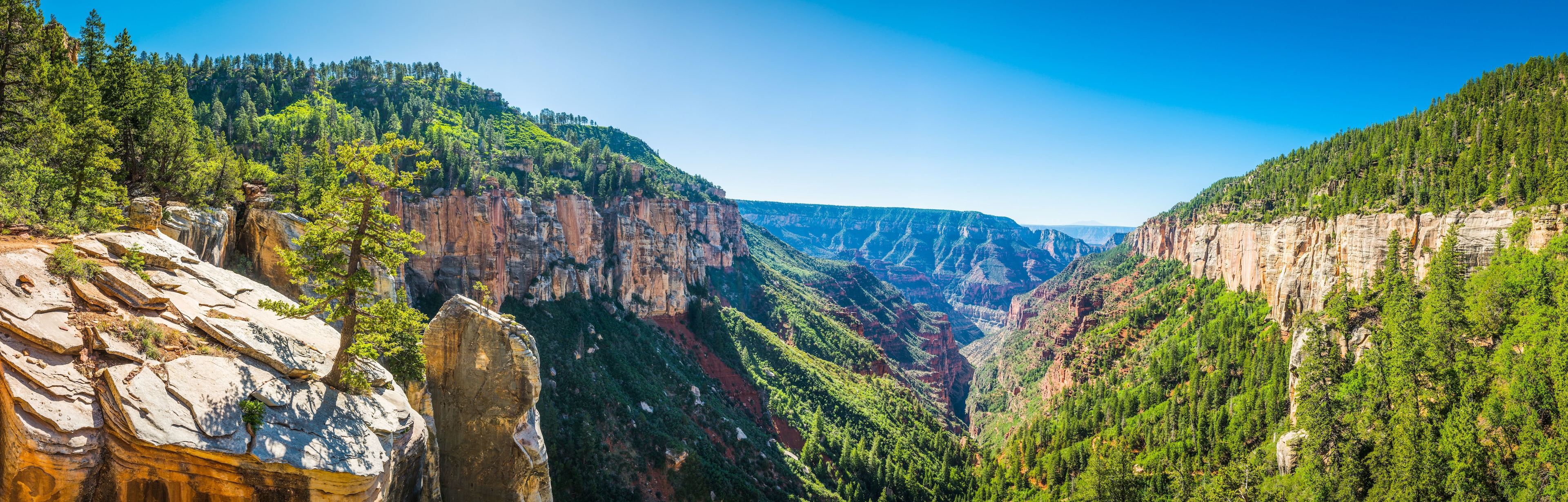 Grand Canyon North Rim Attractions | Grand Canyon Lodge North Rim