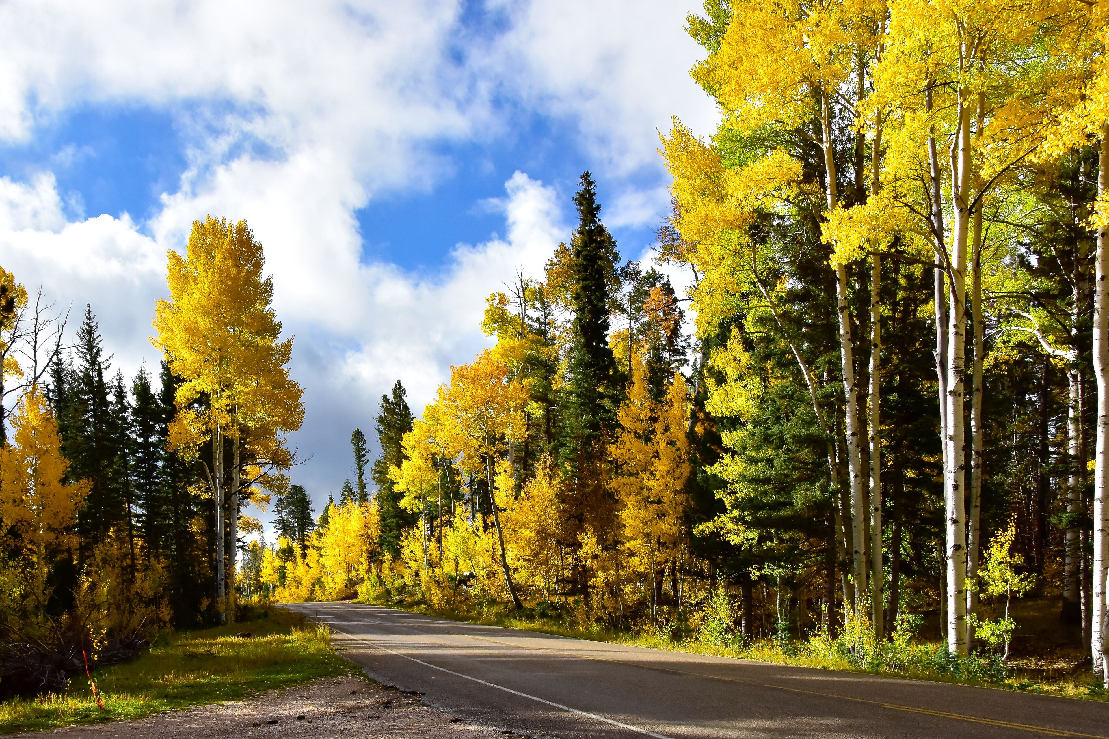 Grand Canyon Conservancy | Grand Canyon Lodge North Rim