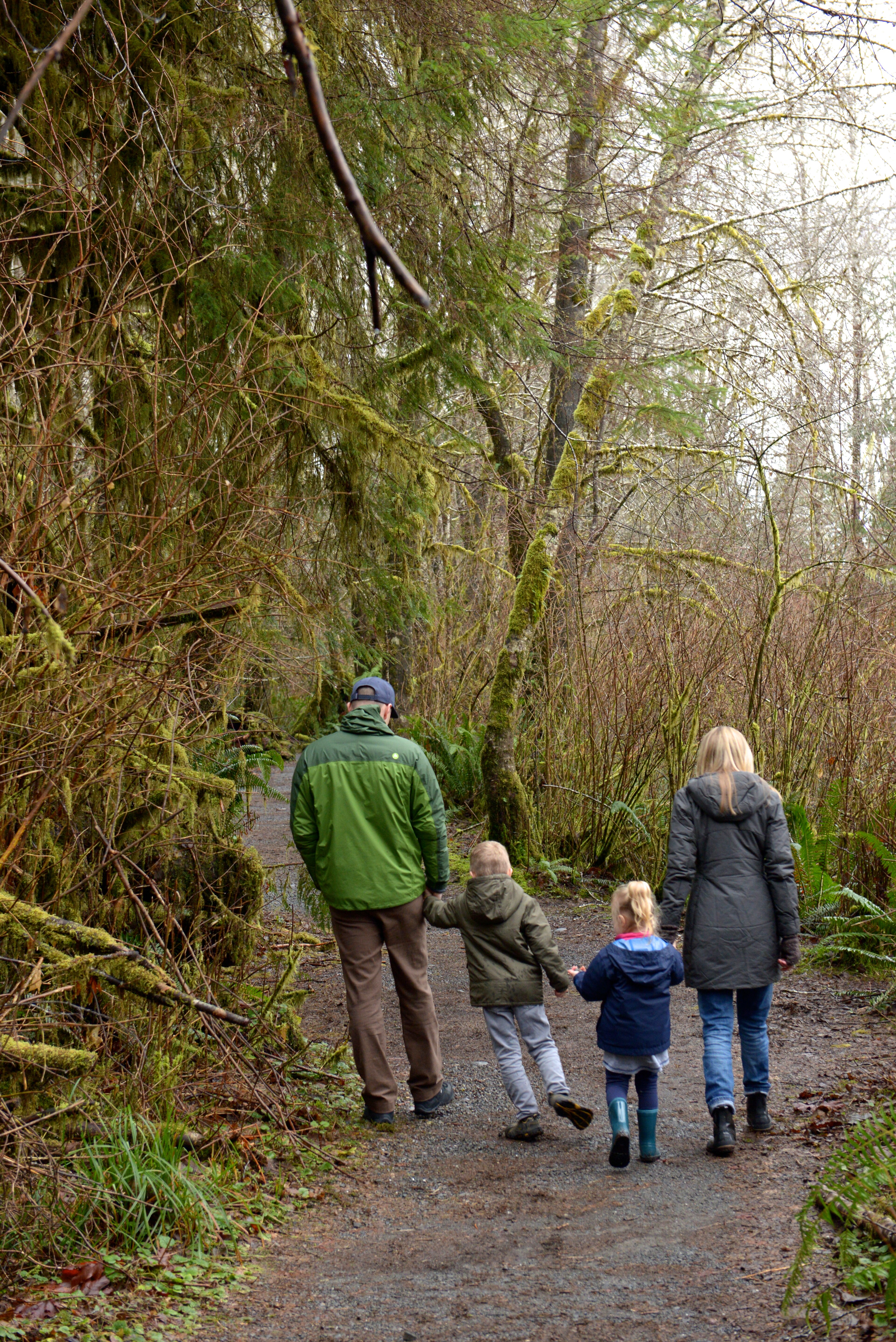 Lake Quinault Hiking Trails | Olympic National Park & Forest