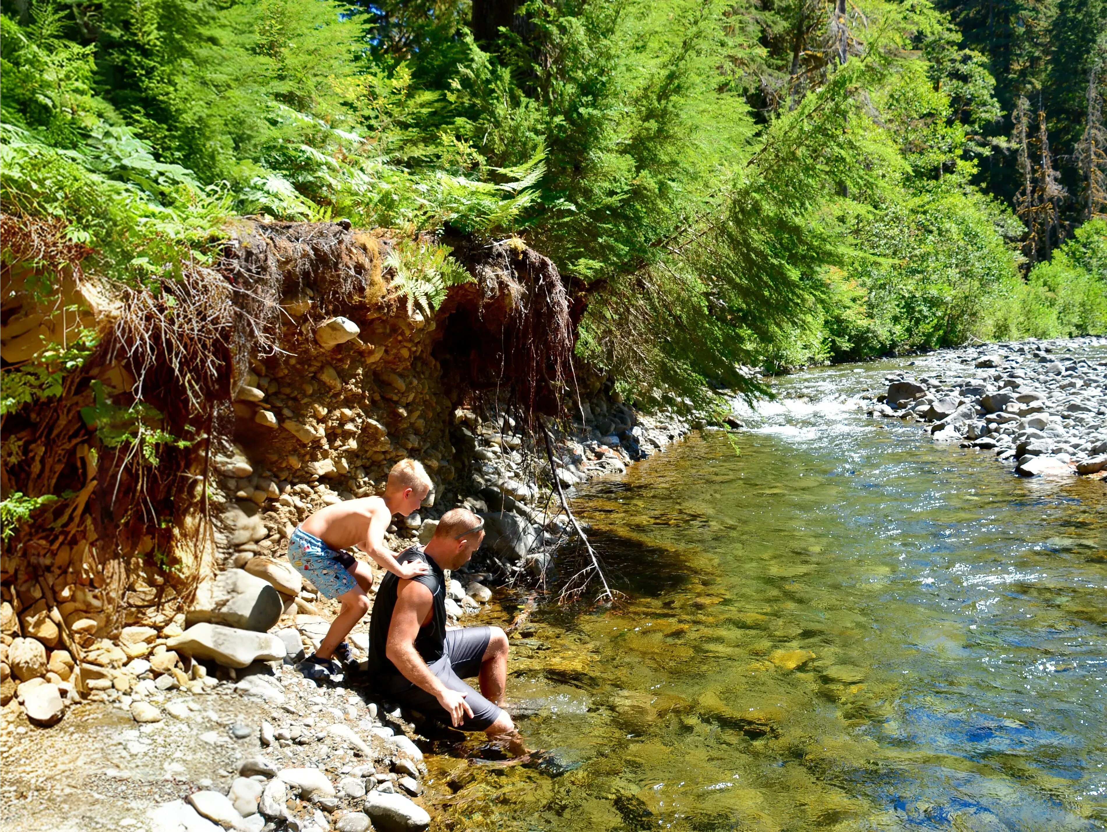 Resorts in Olympic Peninsula | Olympic National Park & Forest