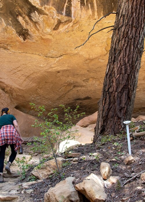 Hotels in Mancos, CO | Mesa Verde National Park