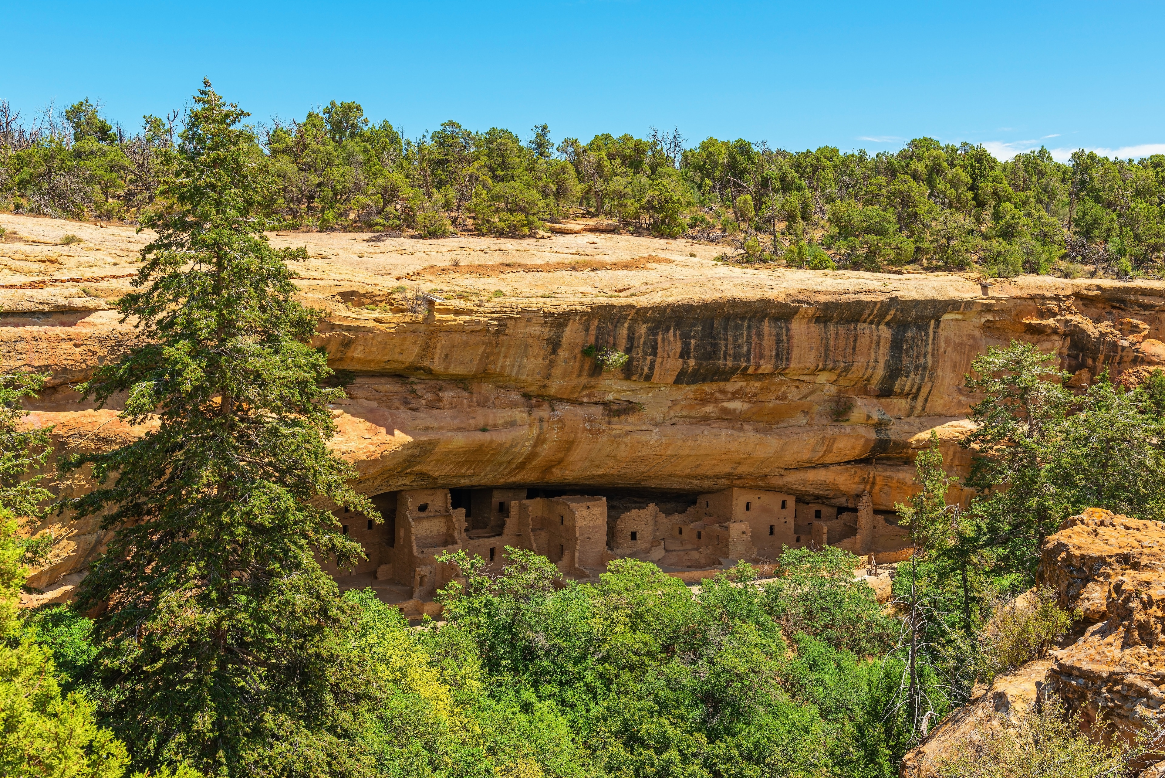 Spruce Tree House | Mesa Verde National Park