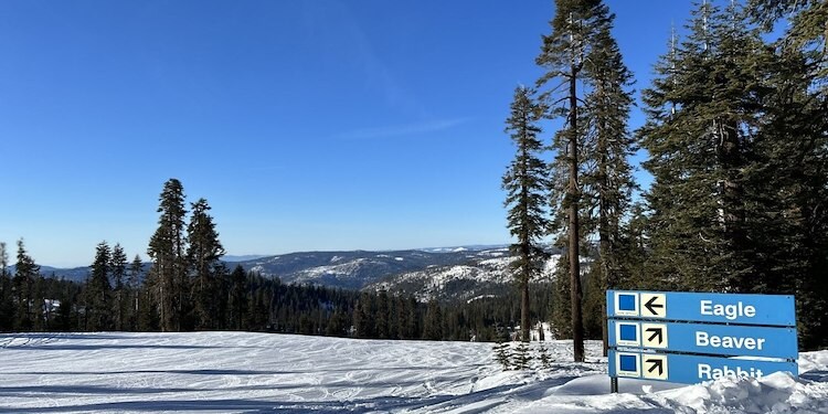 Helpful Tips for Your Next Visit to Badger Pass - Yosemite Blog