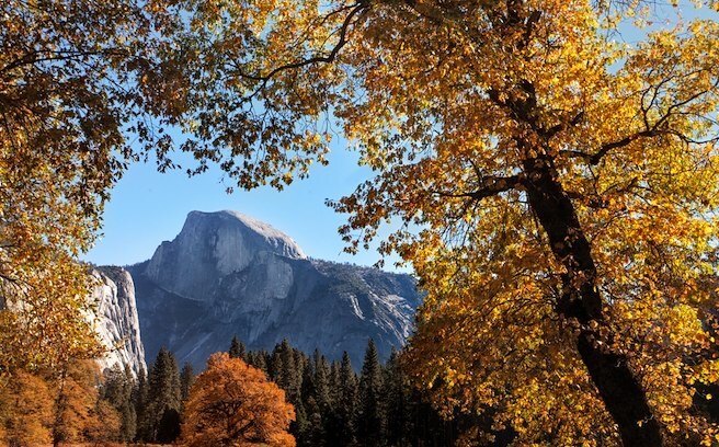 Yosemite Seasons | Yosemite National Park