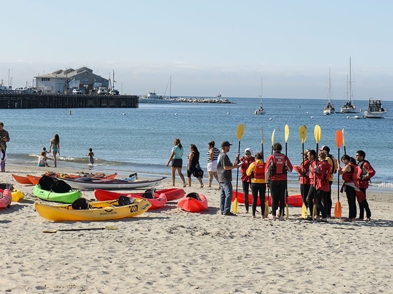 Monterey Hotel Deals & Packages | BLu Pacific Hotel