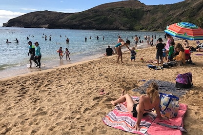 Waikiki Airport Shuttle - Roberts Hawaii Airport Transfer Services