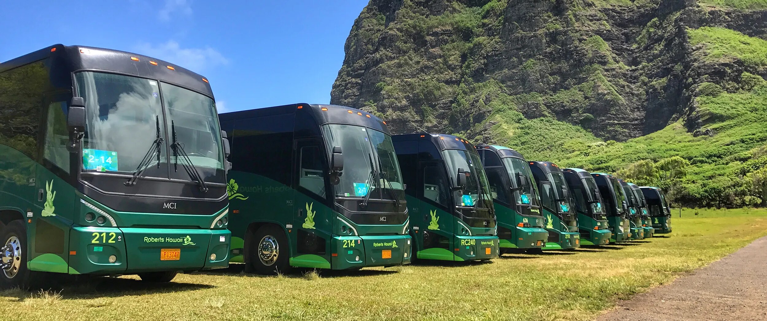 About Us | Roberts Hawaii.