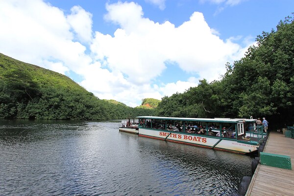 Waimea Canyon, Wailua River Cruise & Fern Grotto Tour | Shore Excursions