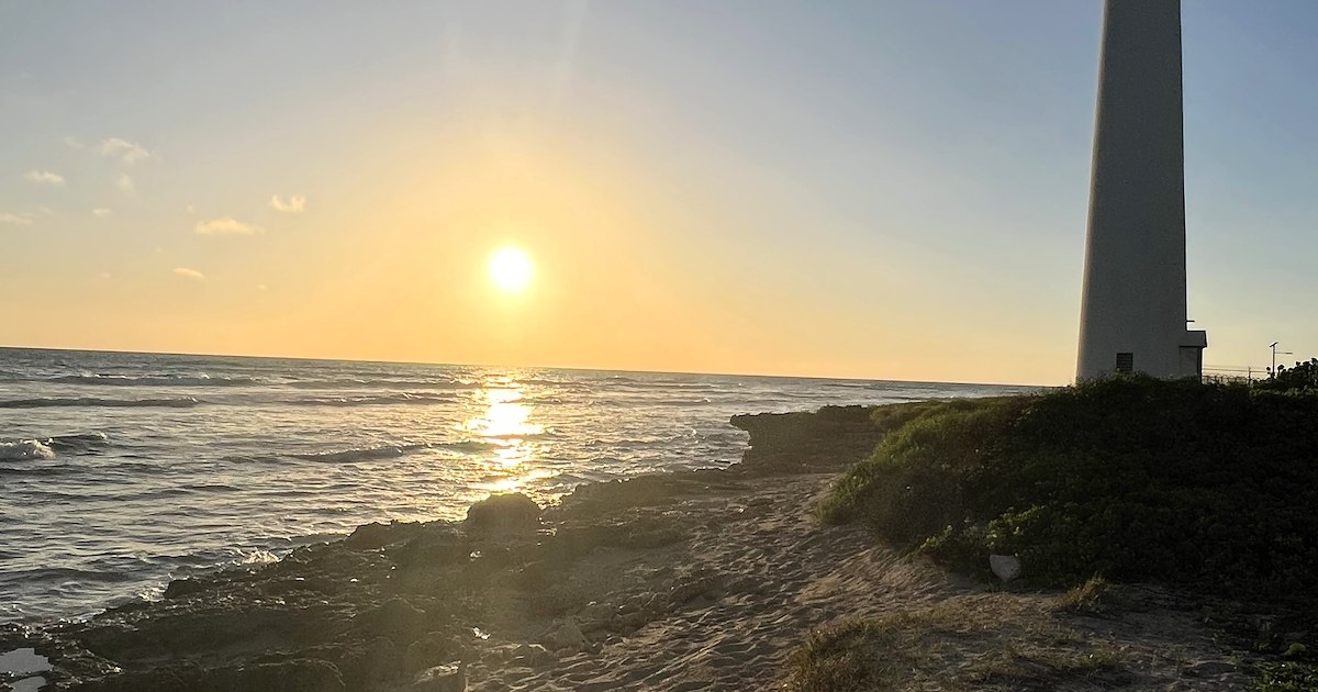 About Us | Roberts Hawaii