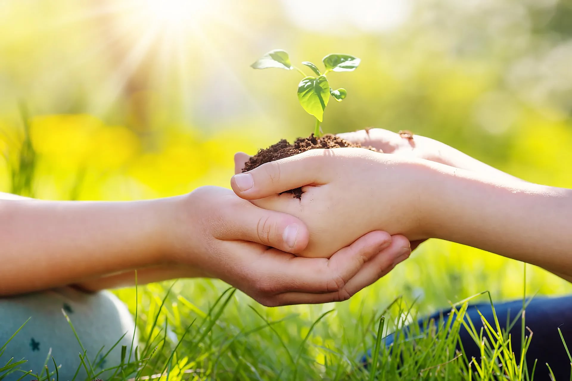 Roberts Hawaii Foundation | Roberts Hawaii