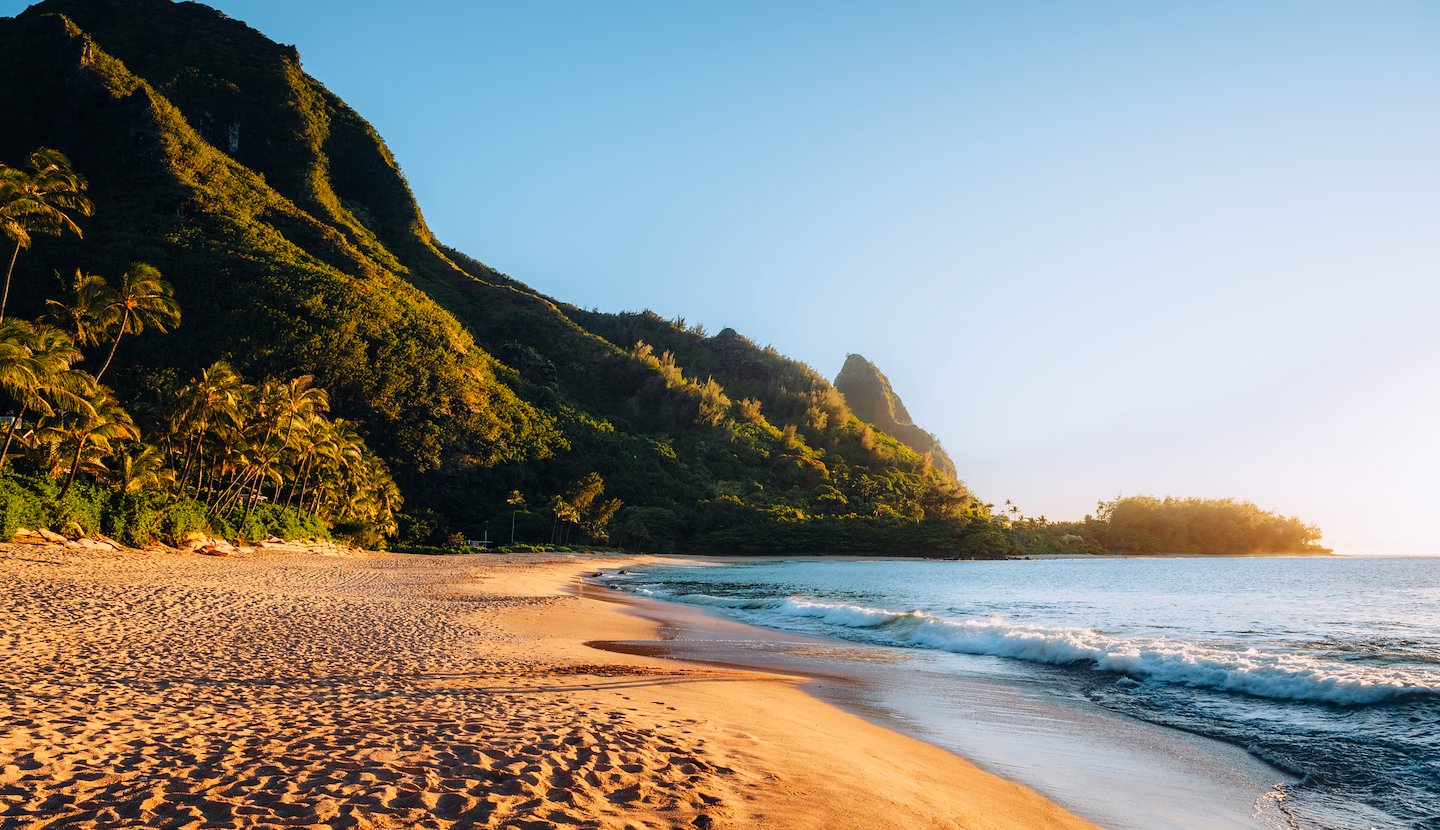 Airport Shuttle Offers