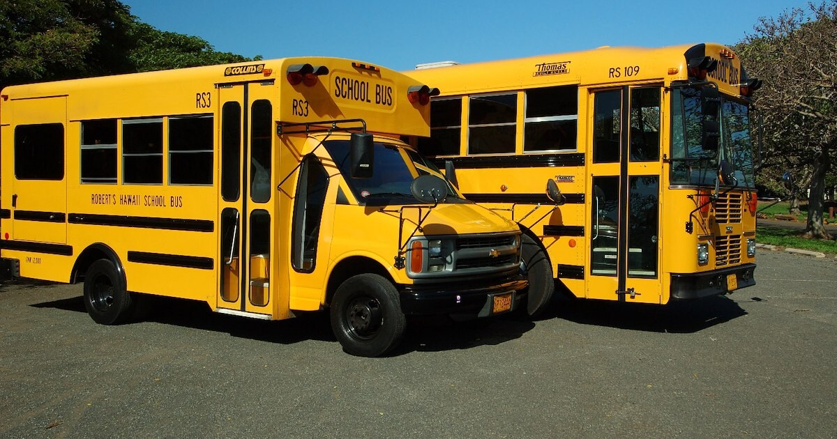 school charter buses