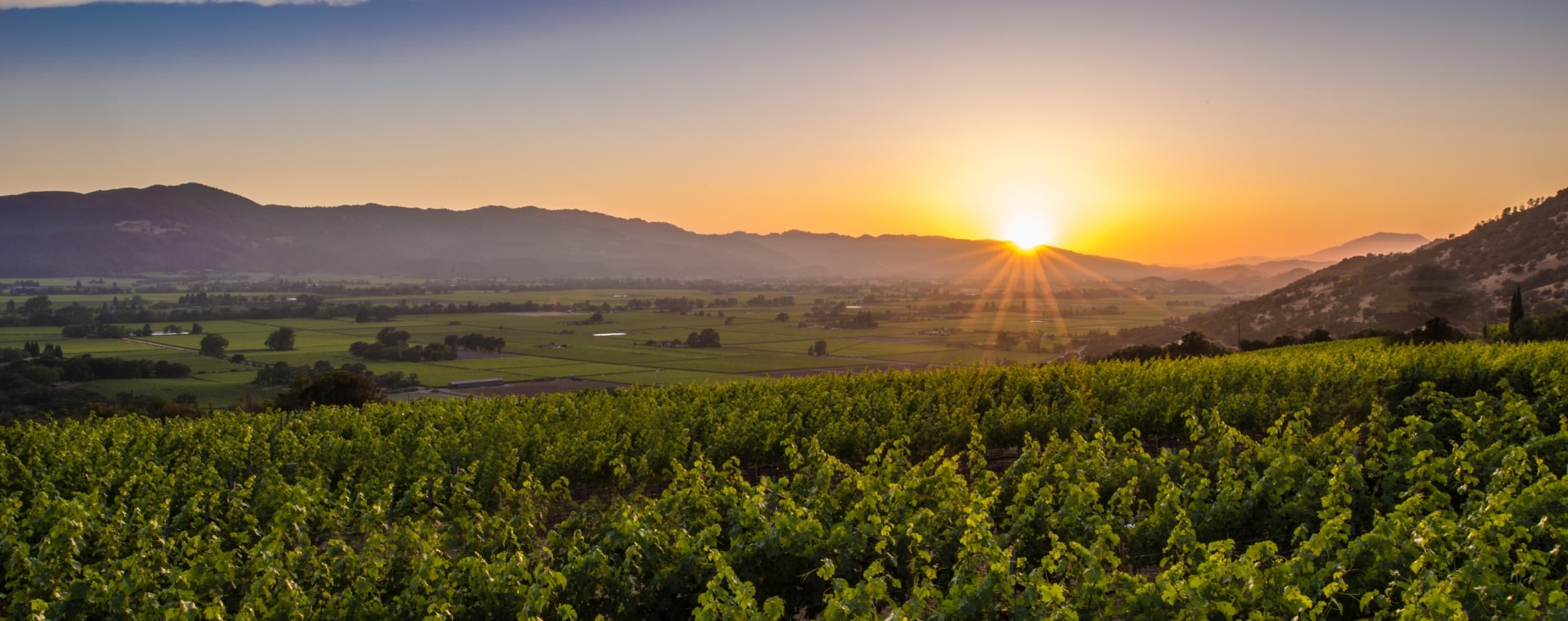Exploring Napa Valley: Top Attractions and Wine Tasting Spots