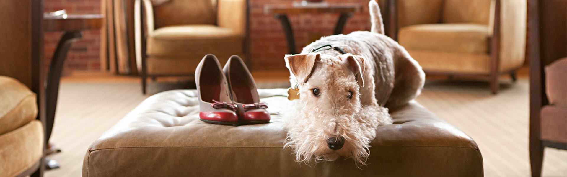 Lynchburg Virginia Hotel News & Press | Craddock Terry Hotel