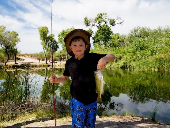 Authentic Tucson Activities - Tanque Verde Ranch