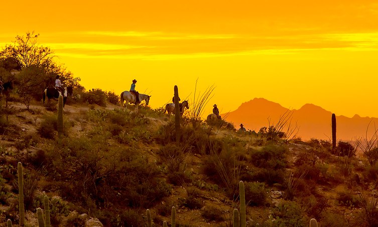 Explore the Rich Tanque Verde Ranch History and Heritage