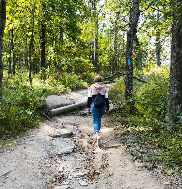 Things To Do Blacksburg VA | The Inn At Virginia Tech