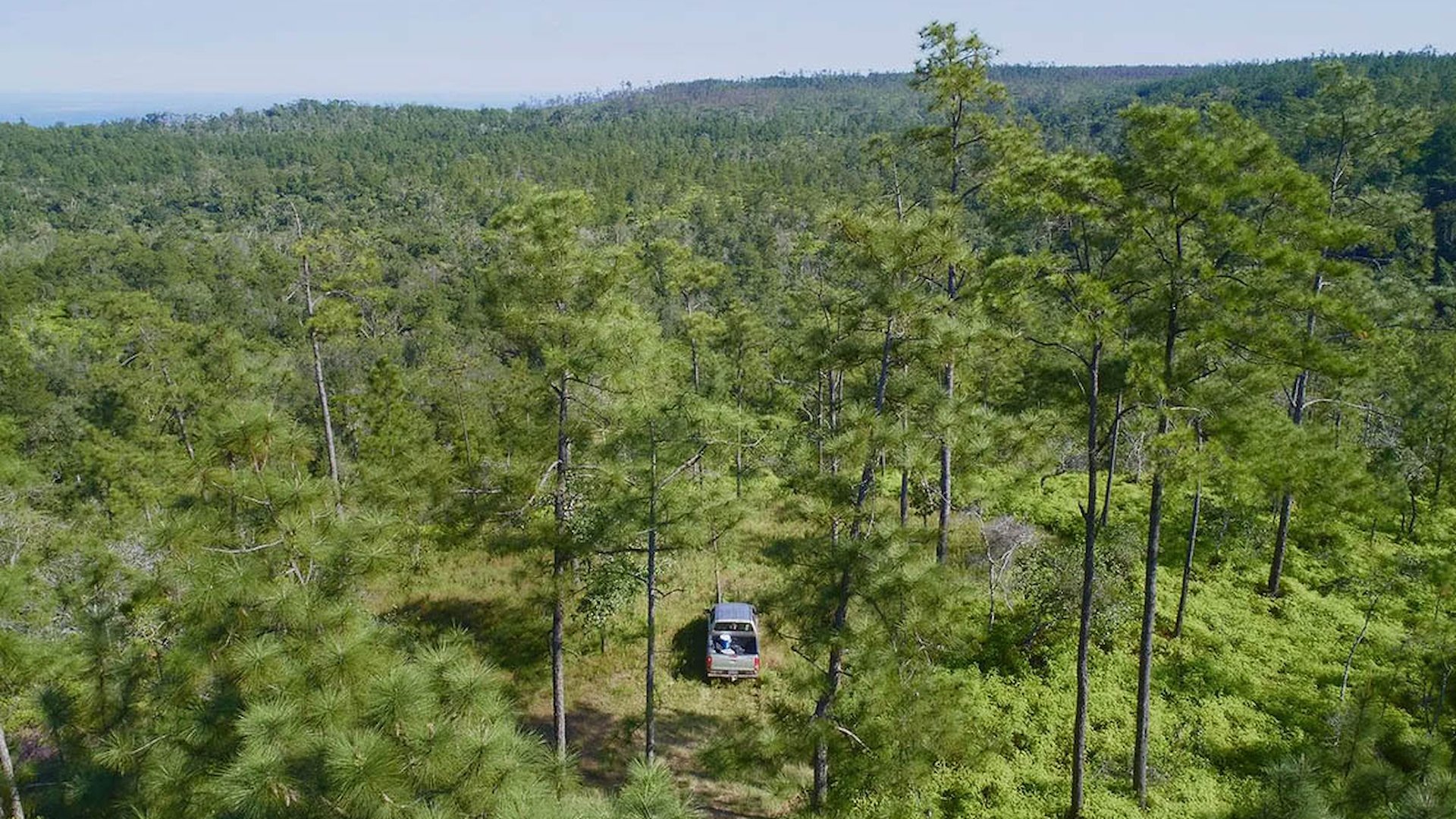 Hidden Valley Inn Belize Wedding Packages | Destination Weddings