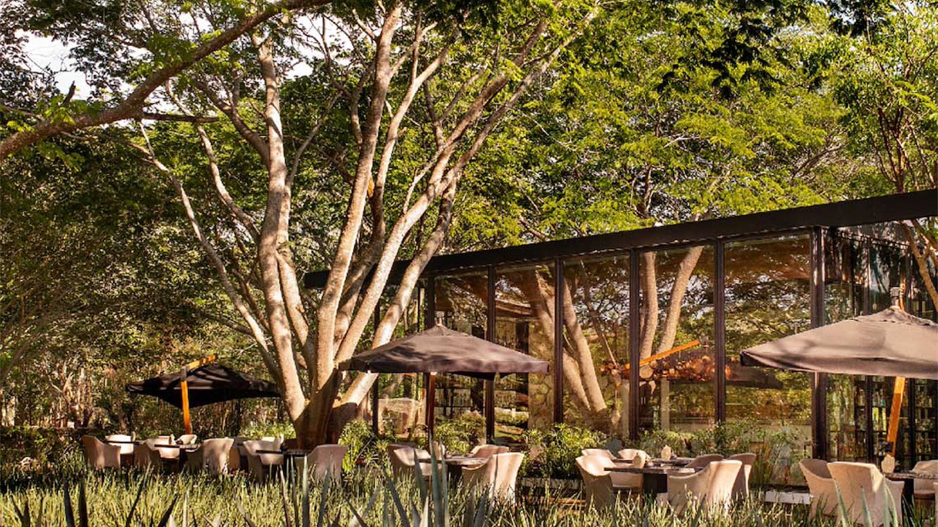 Chablé Yucatan Merida Wedding Packages | Destination Weddings