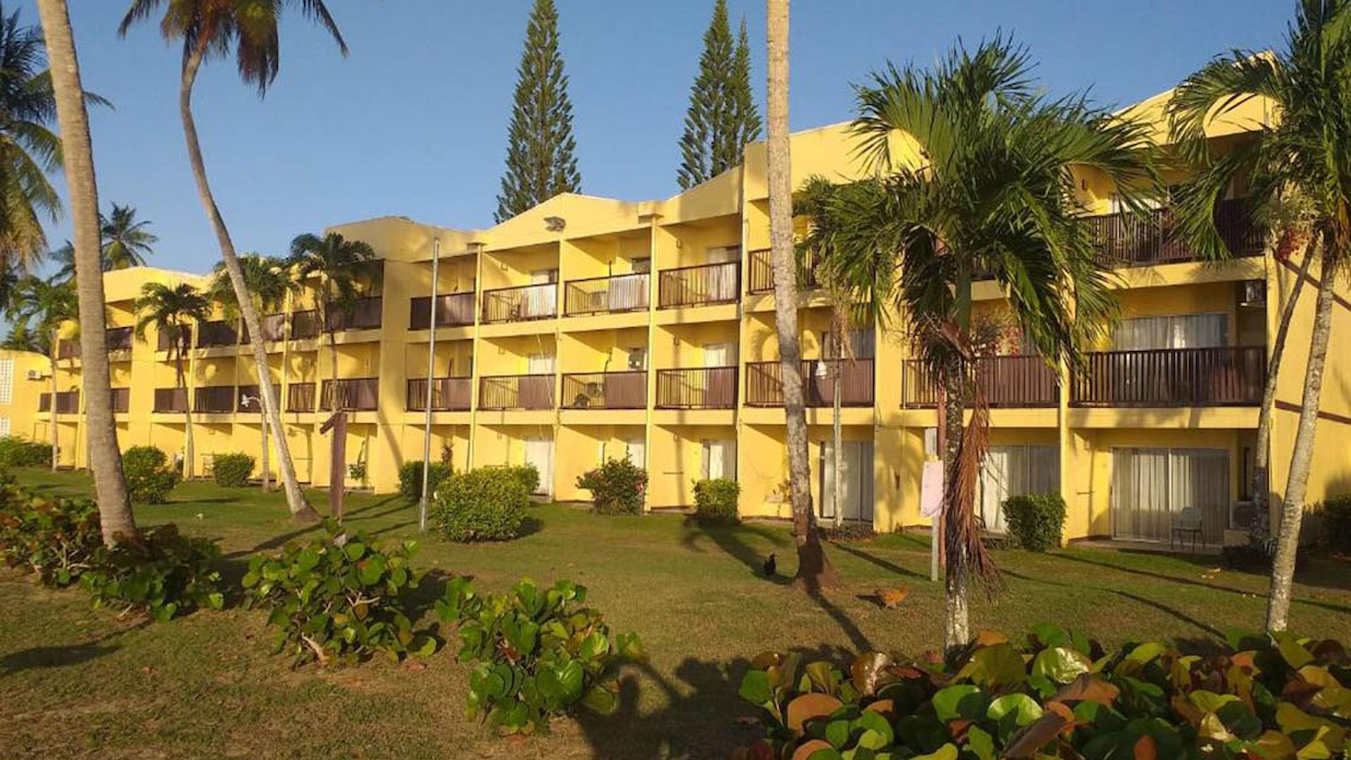 Starfish Resort Trinidad and Tobago Wedding Packages| Destination Weddings