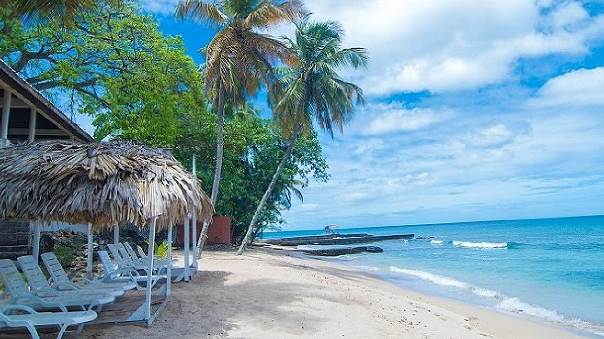 Starfish Resort Trinidad and Tobago Wedding Packages| Destination Weddings