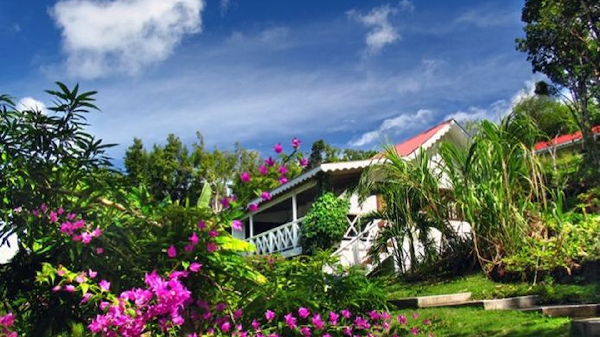 Ti Kaye Resort & Spa St. Lucia Wedding Packages | Destination Weddings