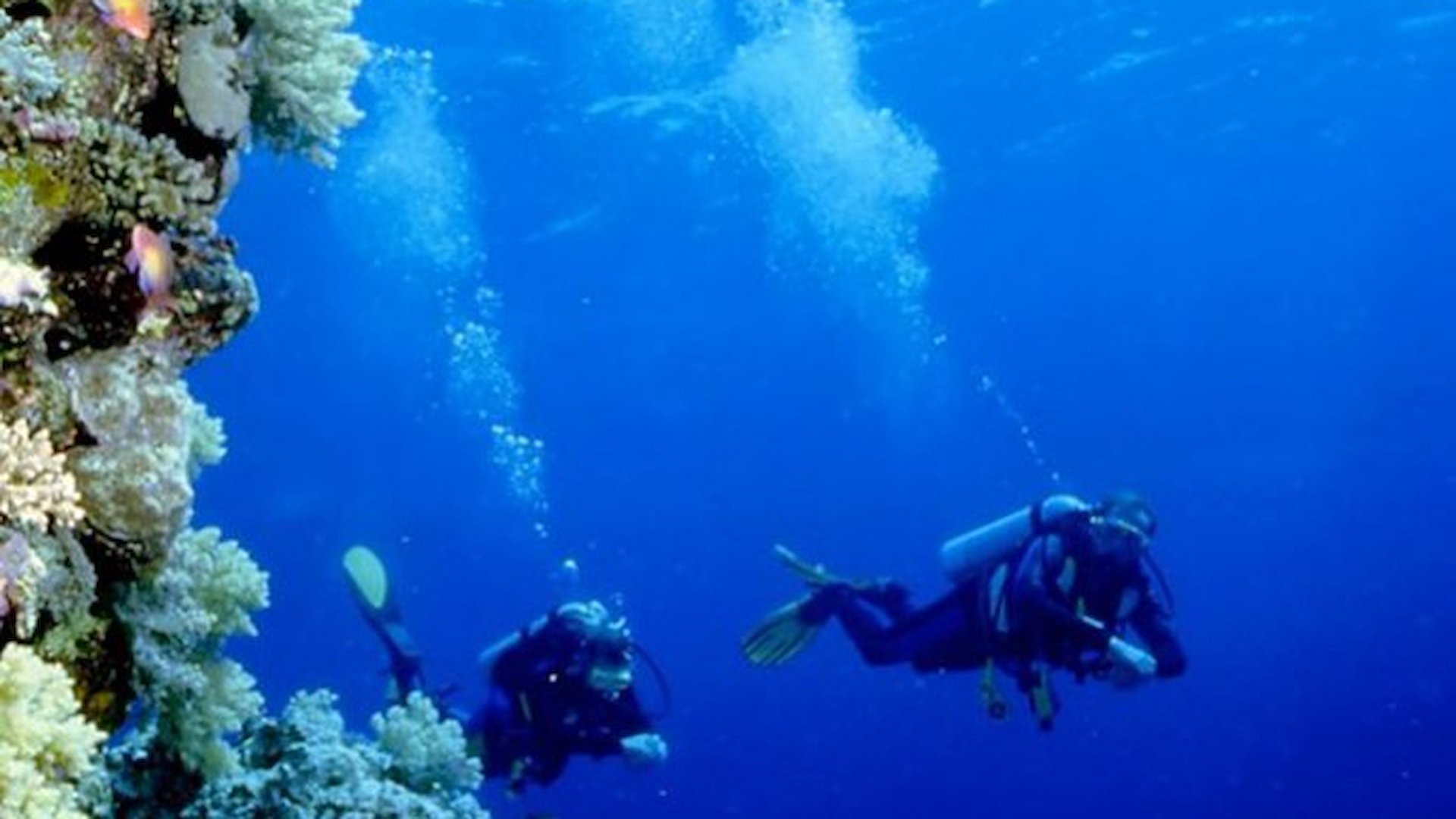 Ti Kaye Resort & Spa St. Lucia Wedding Packages | Destination Weddings