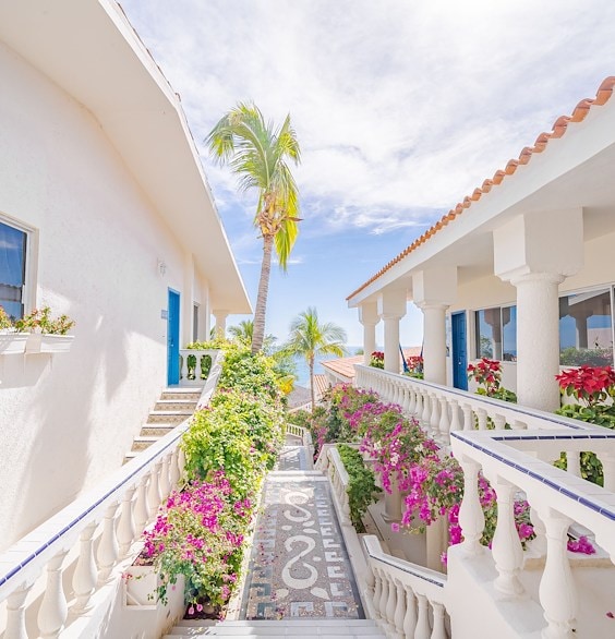 Adults Only and Pet Friendly Cabo Boutique Hotel | Mar del Cabo by ...