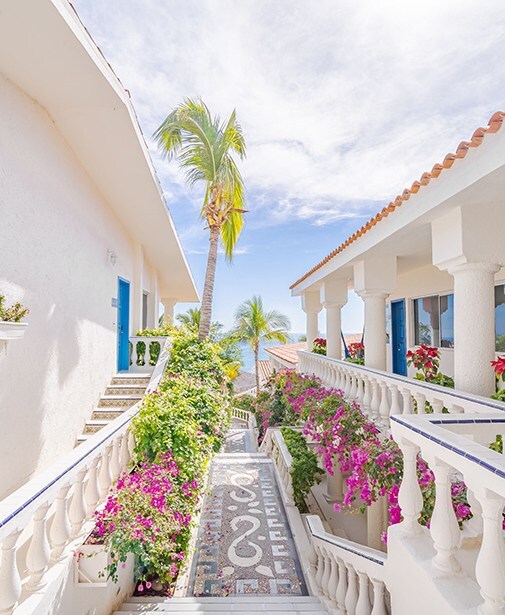 Mar del Cabo by Velas Resorts: Baja's Hidden Gem