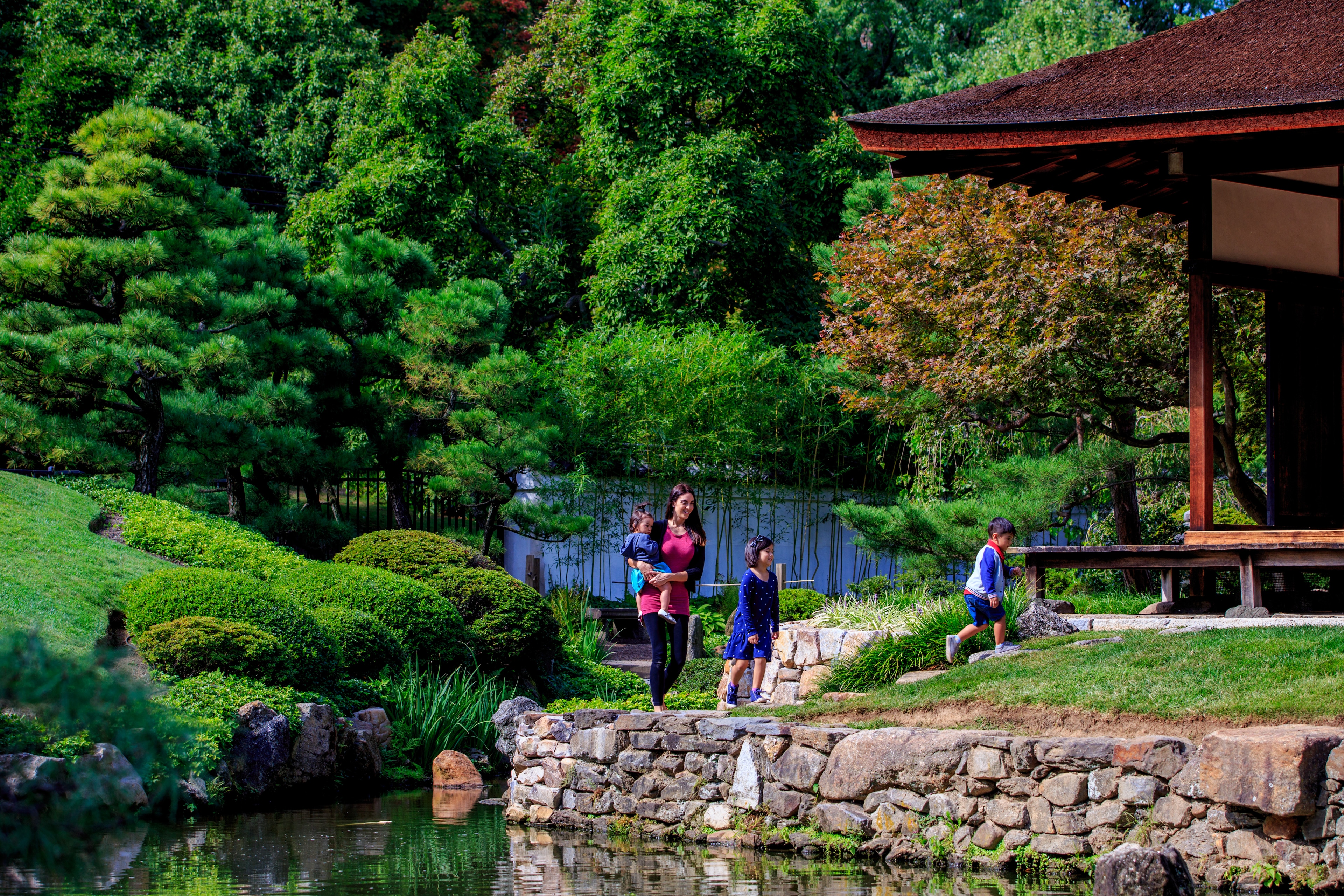 Diving into Japanese Culture at Shofuso Center