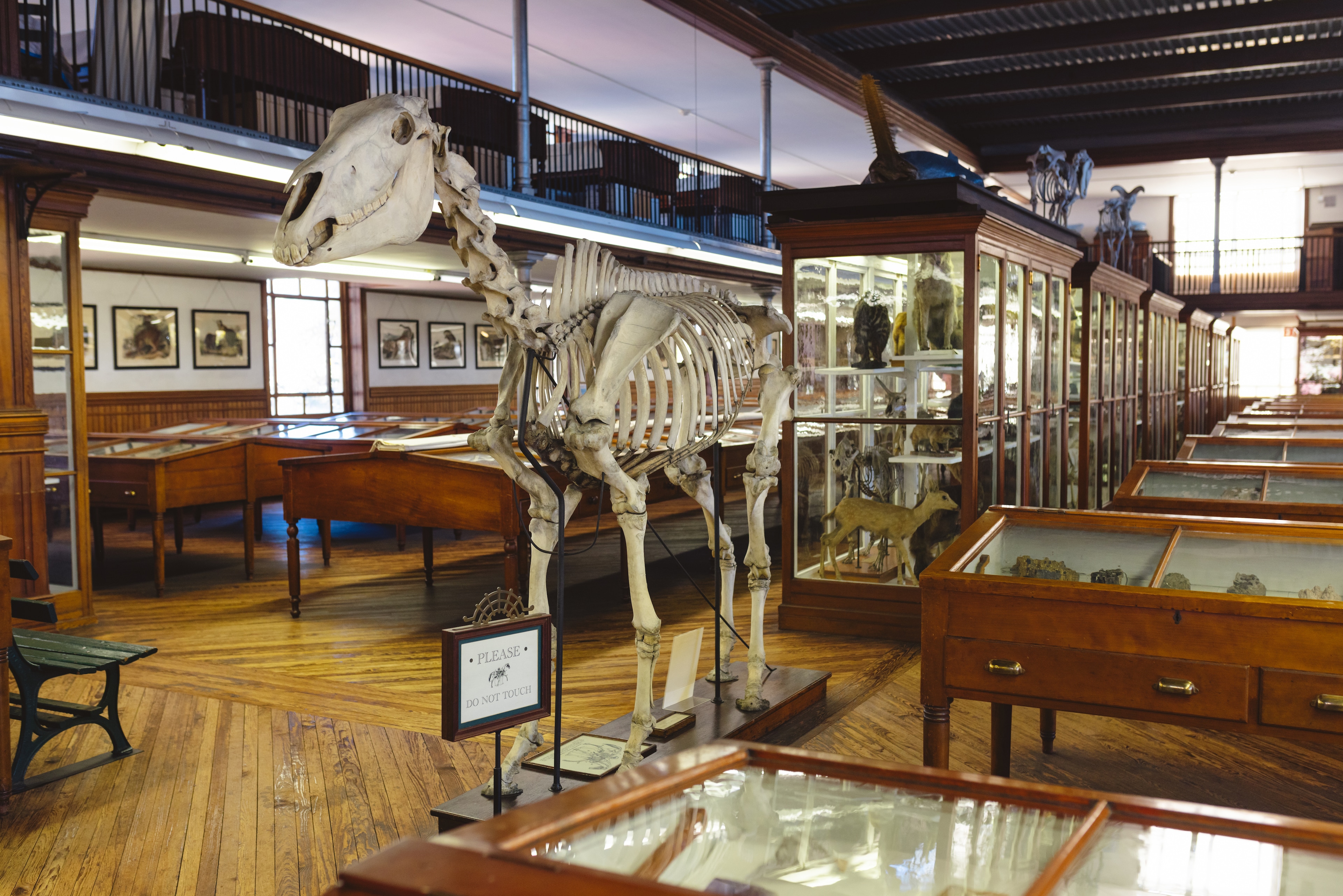 Discovering Wagner Science Institute's Treasures