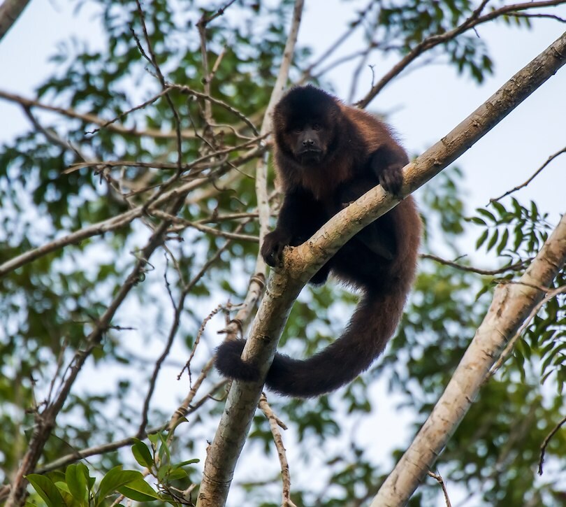 Activities in Belize | Adventures at Itz’ana Placencia