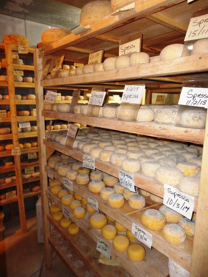 Belizes Cheese Revolution