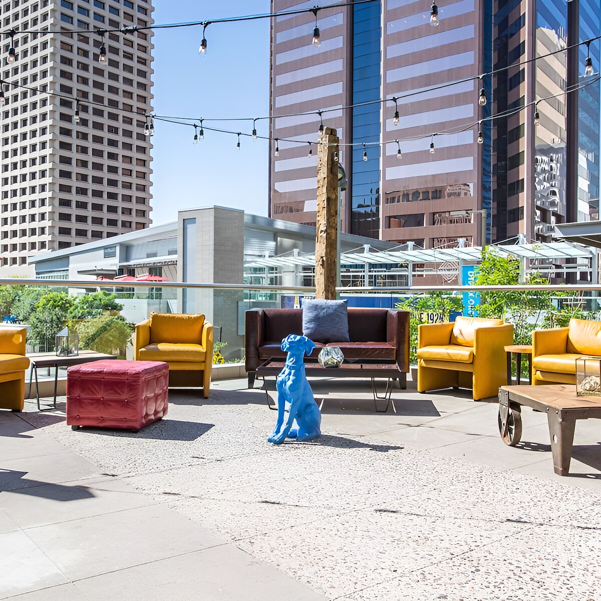 Best Restaurants in Downtown Phoenix - Blue Hound Kitchen & Cocktails
