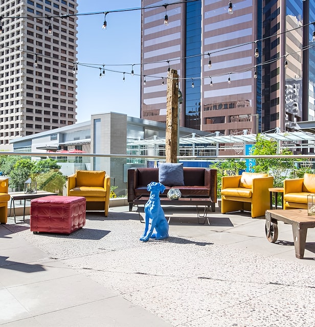 Downtown Phoenix Dining - Blue Hound Kitchen & Cocktails