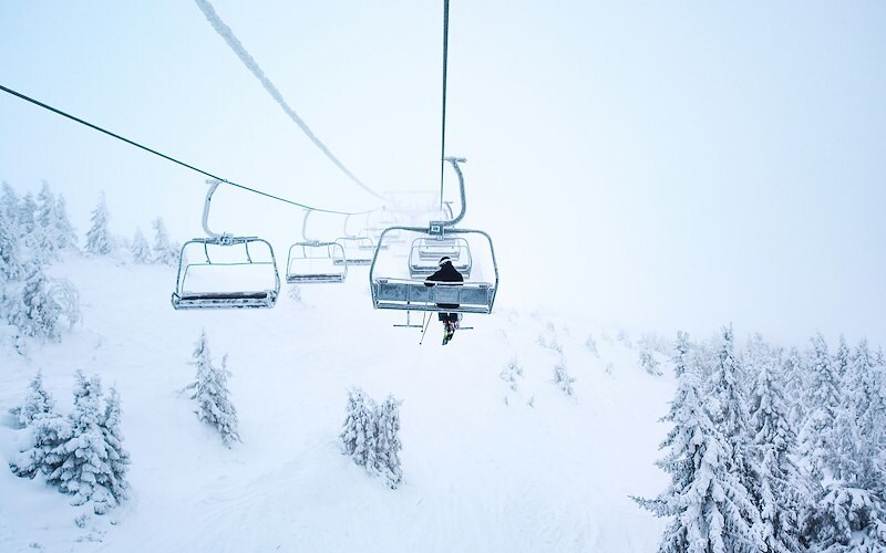 AWOL Stowe - Stowe, Vermont | Cady Hill Forest - Stowe, Vermont | Lark ...