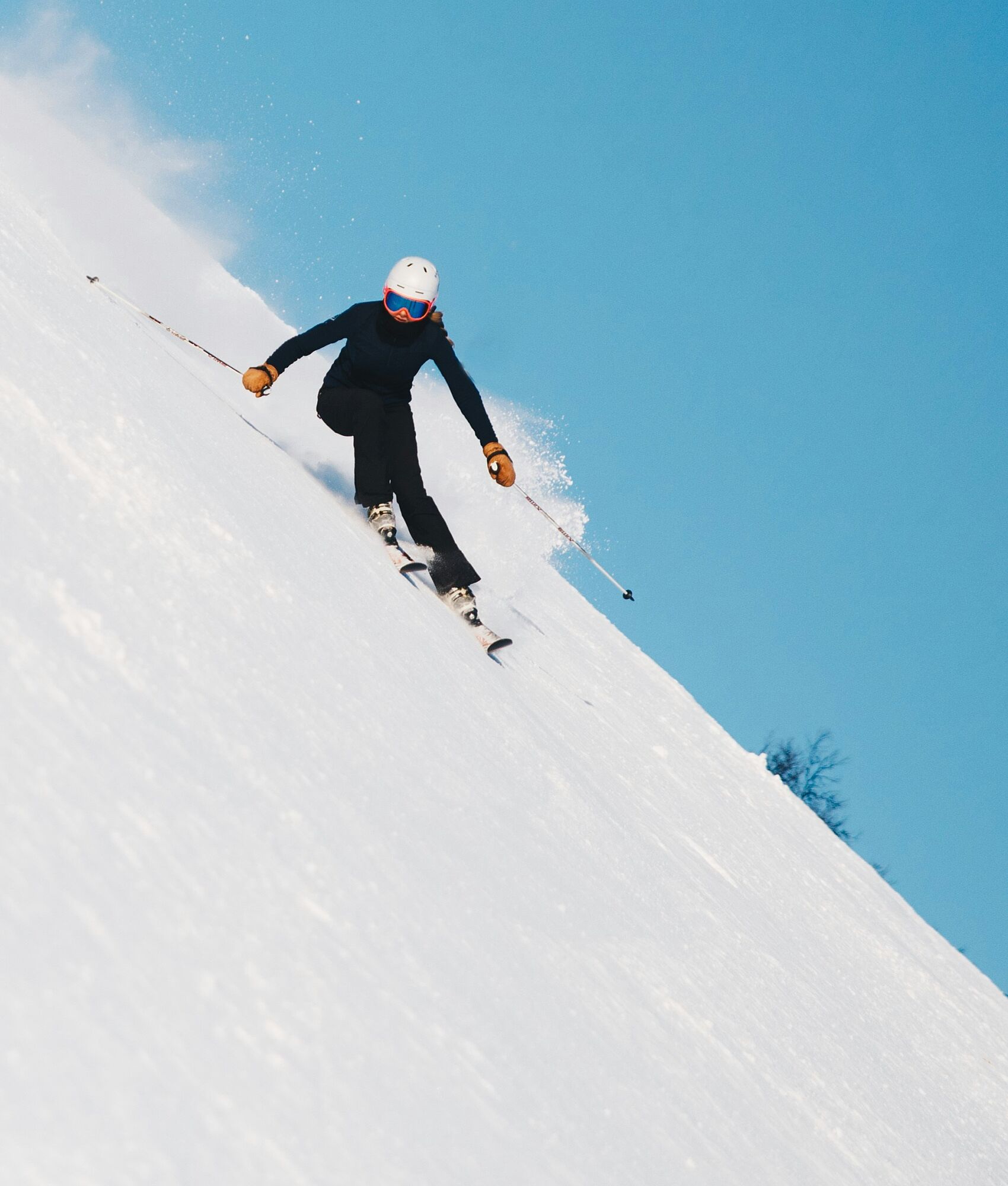 AWOL Stowe - Stowe, Vermont | Cady Hill Forest - Stowe, Vermont | Lark ...