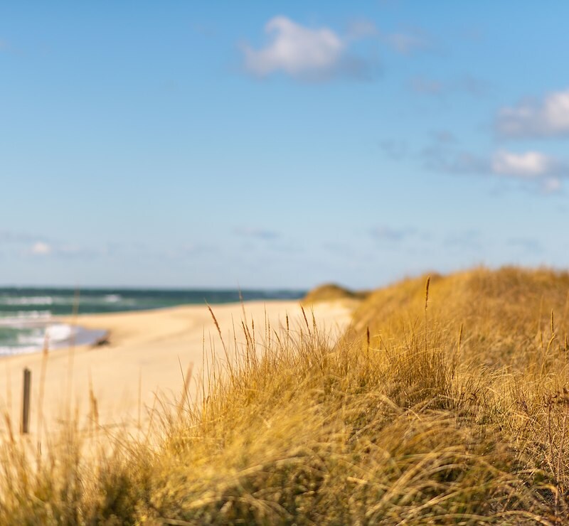 Bluebird Dennisport - Dennisport Boutique Hotel in Massachusetts ...
