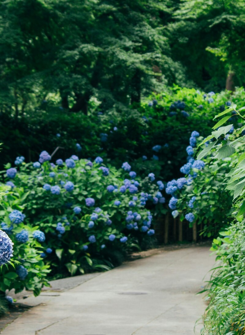 Queen Anne Inn - Special Offers