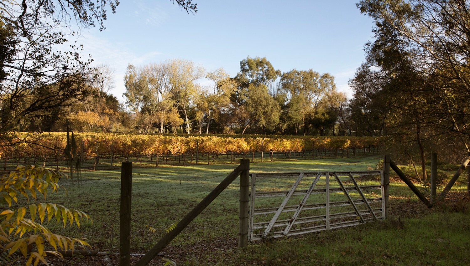 Rancho Caymus Inn Location | Napa Valley Wine Country